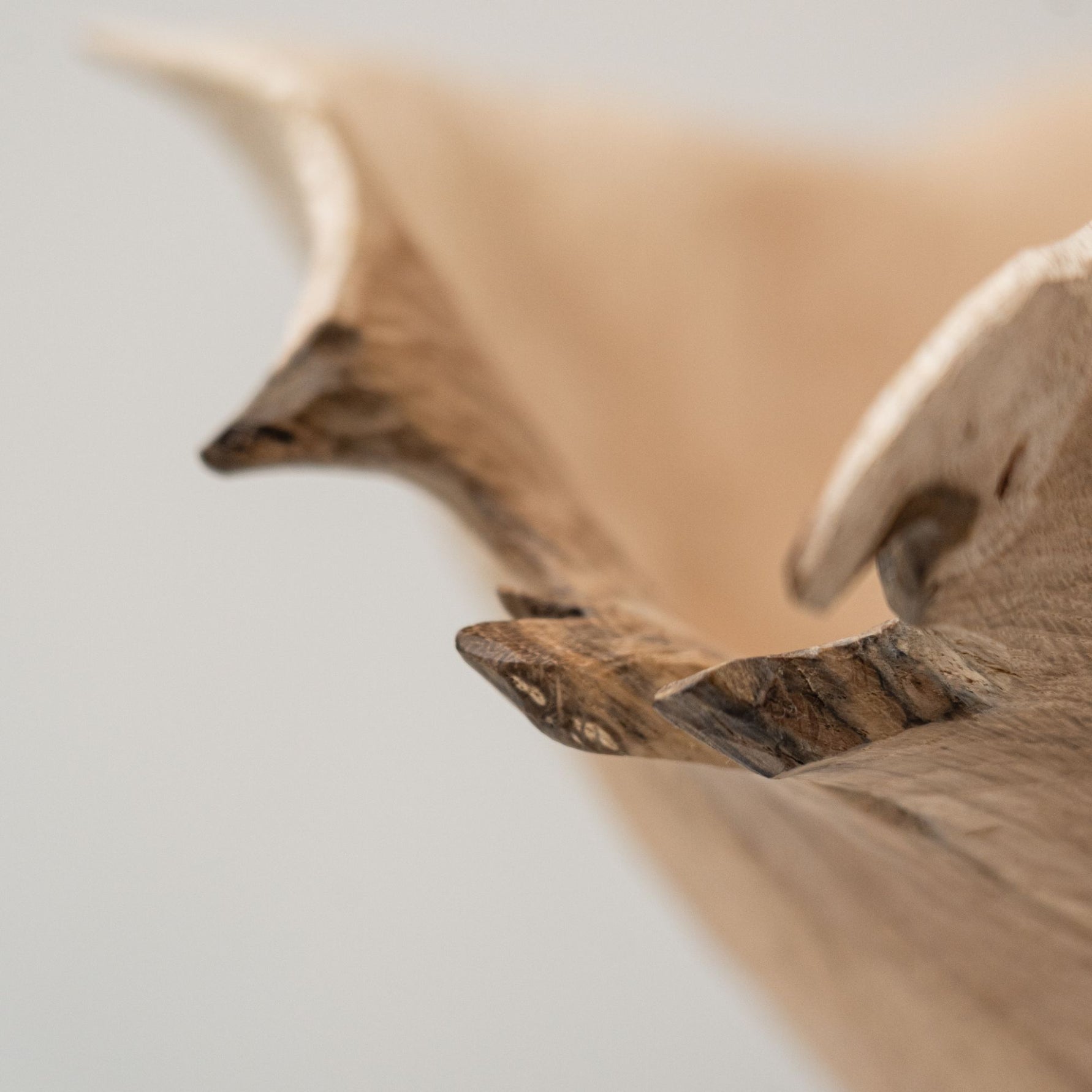 Jamie Gaunt – Rart Galerie