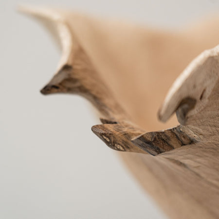 Jamie Gaunt – Rart Galerie